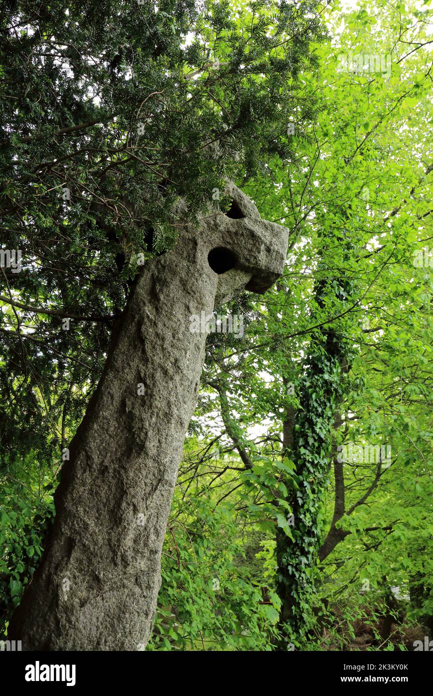 Celtic cross in churchyard, St Peter and St Paul church, Church Hill ...