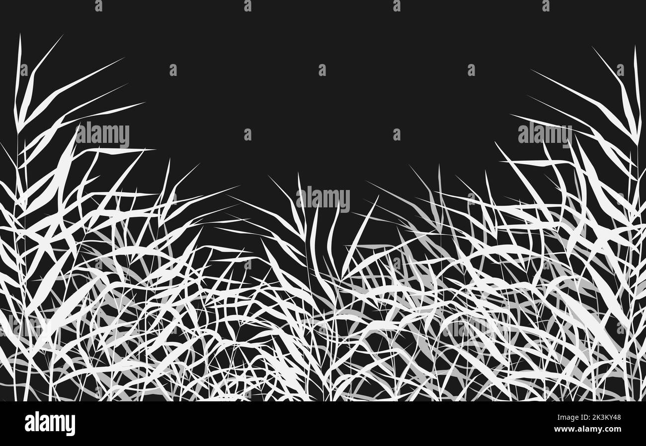 Isolated vector drawing.Image of a white reed or bulrush on a black ...
