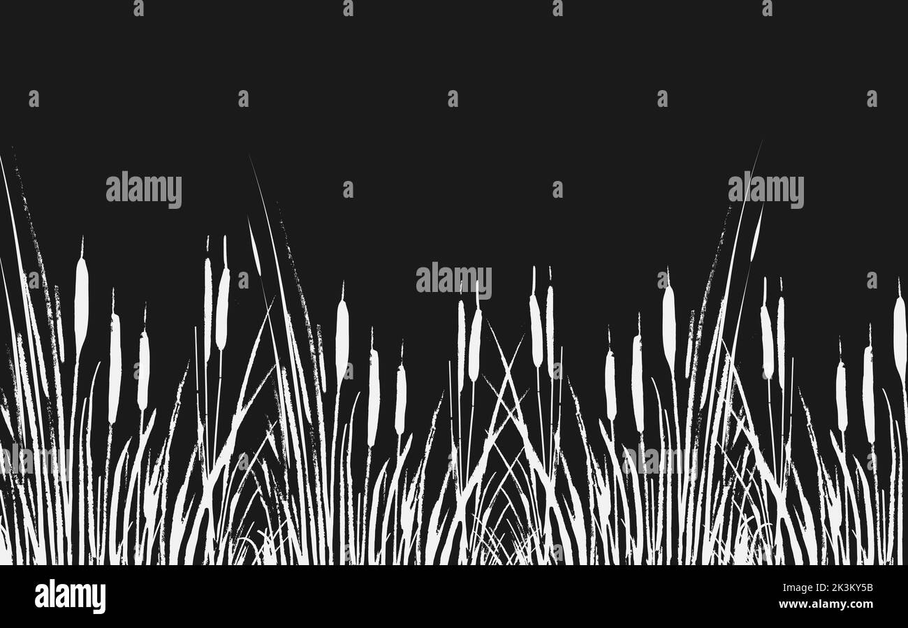 Isolated vector drawing.Image of a white reed or bulrush on a black ...