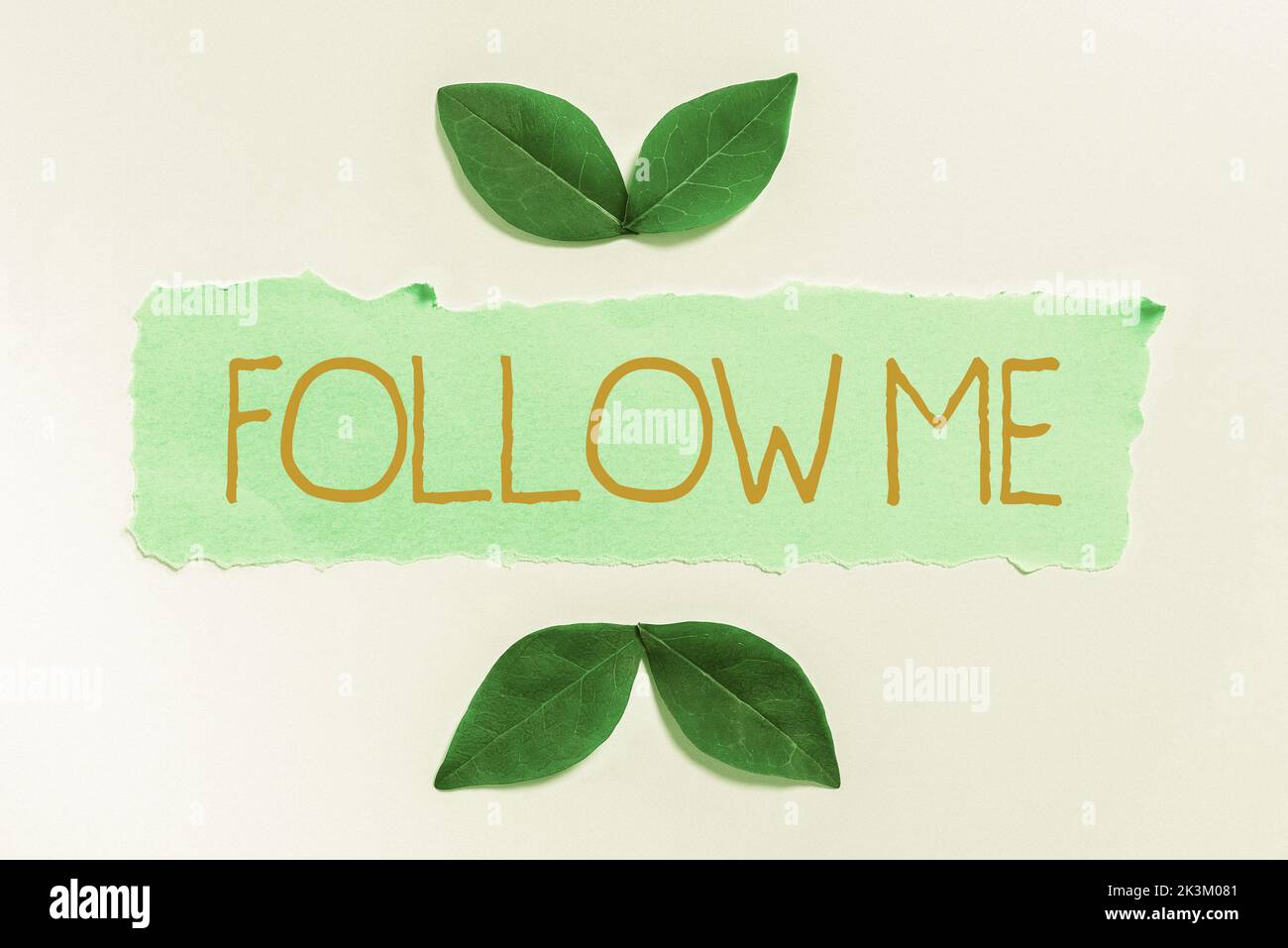 Text caption presenting Follow Me. Concept meaning Inviting a person or ...