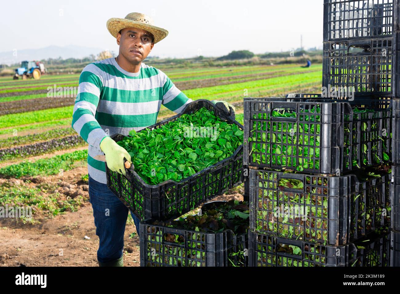 Worker carrying plastic crates hi-res stock photography and images - Alamy Worker carrying plastic crates hi-res stock photography and images - Alamy