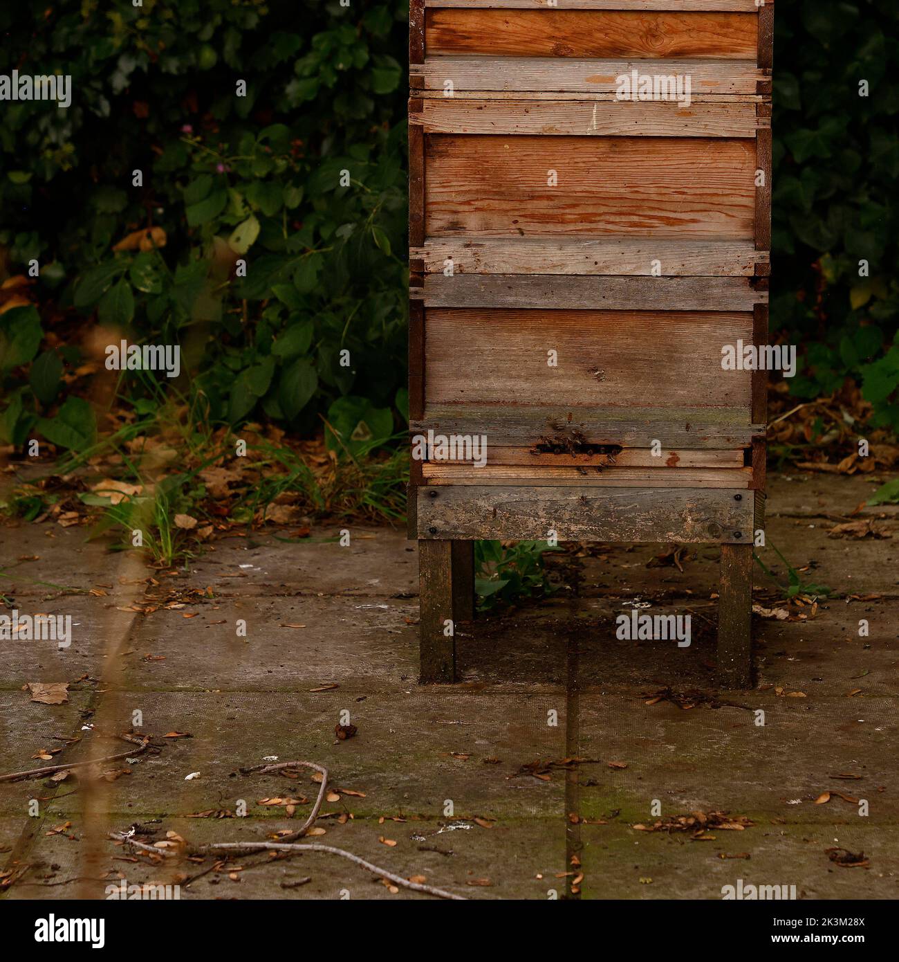 Beehive management hi-res stock photography and images - Alamy