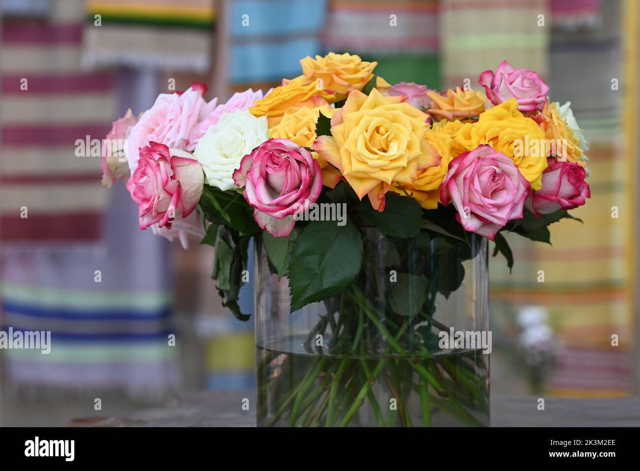 Rose yellow red mix colour hi-res stock photography and images - Alamy