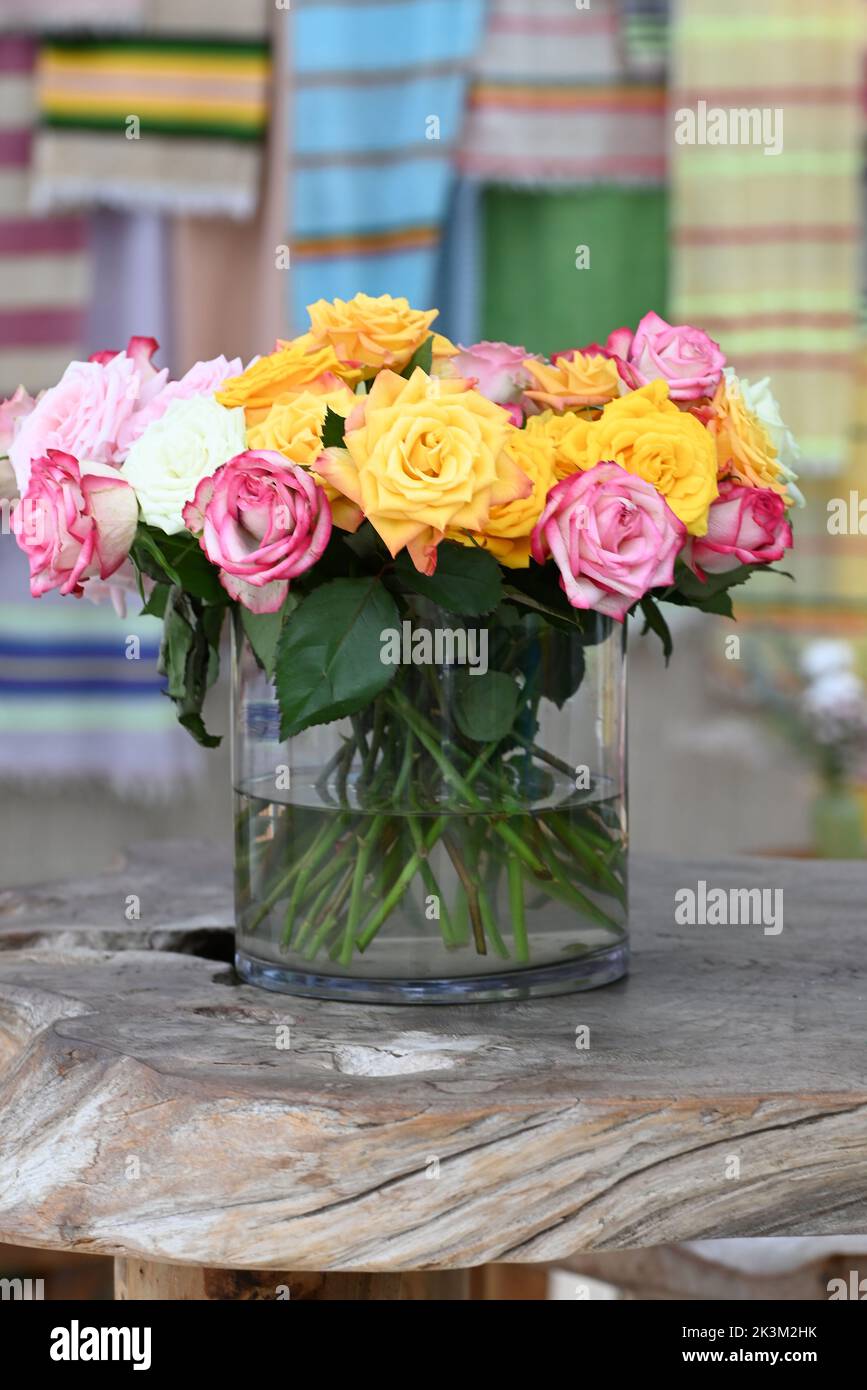Roses in a variety of mixed colours Stock Photo - Alamy
