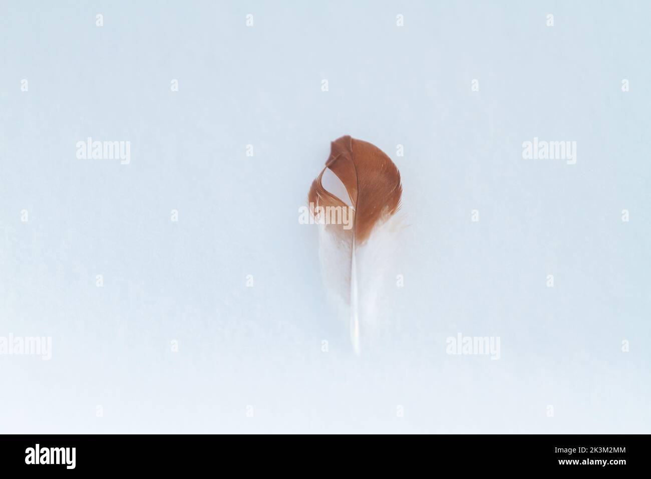 Pure white snow hi-res stock photography and images - Alamy