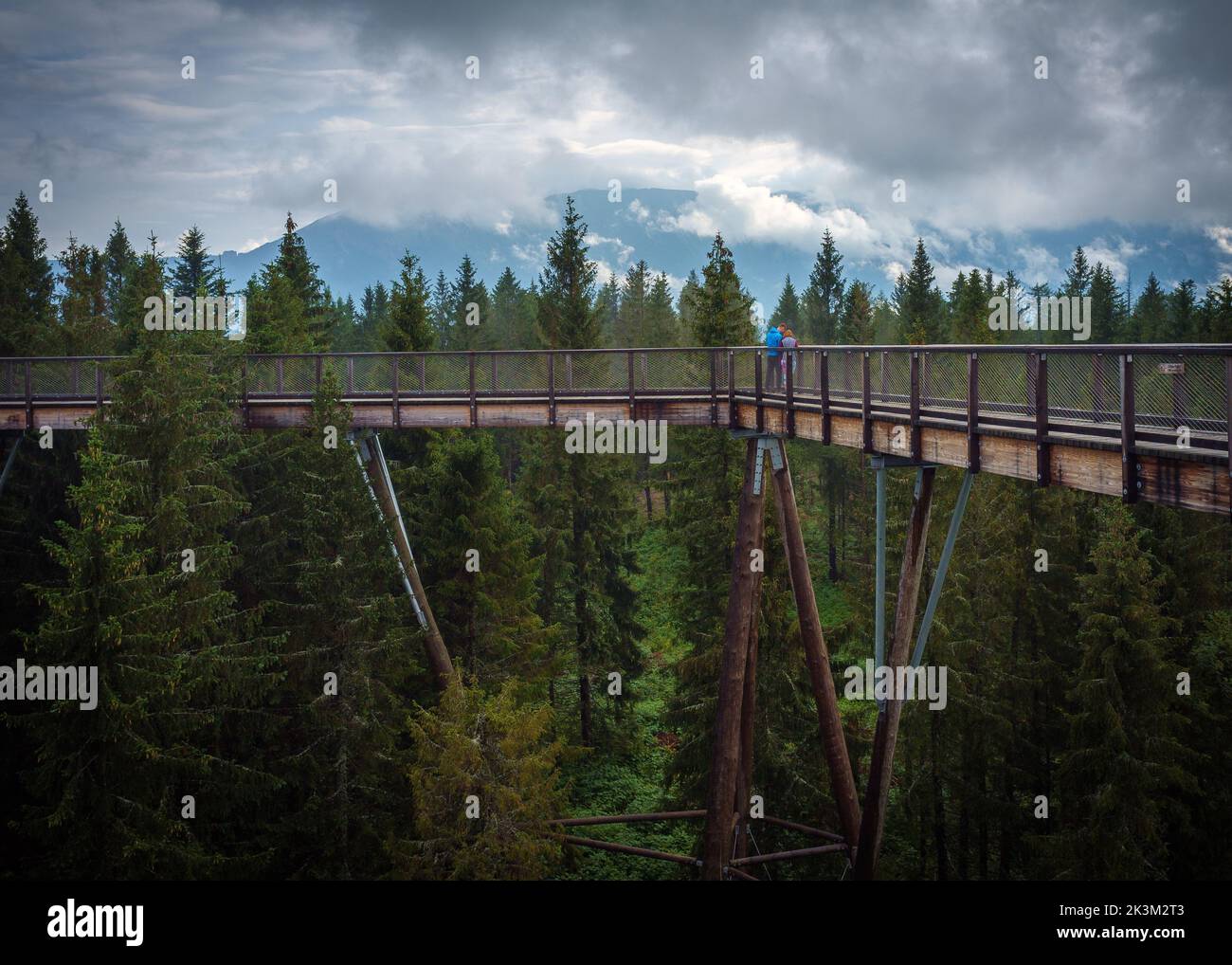 A dark dramatic sky over a treetop walkway in Bachledova dolina in ...