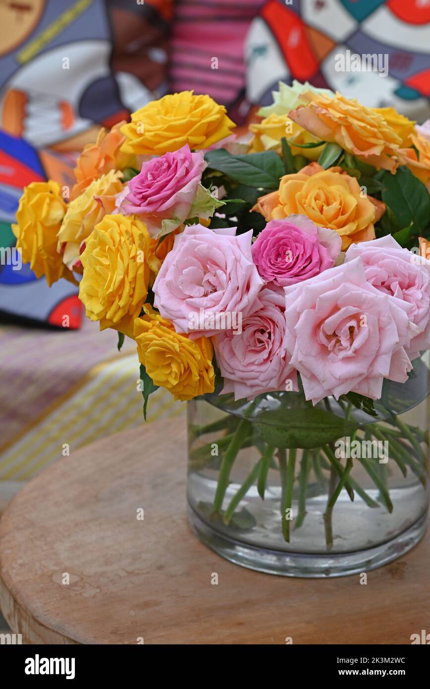 Roses in a variety of mixed colours Stock Photo - Alamy