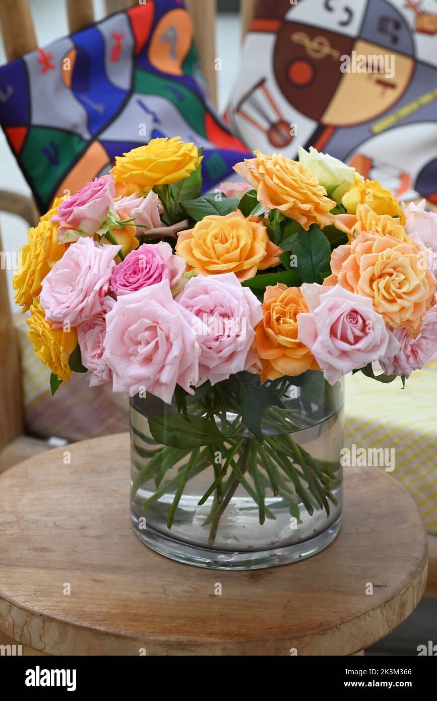 Roses in a variety of mixed colours Stock Photo - Alamy