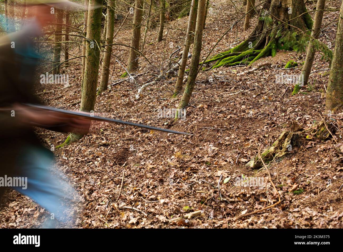 A blury image of a man walking through woods woth a gun Stock Photo - Alamy