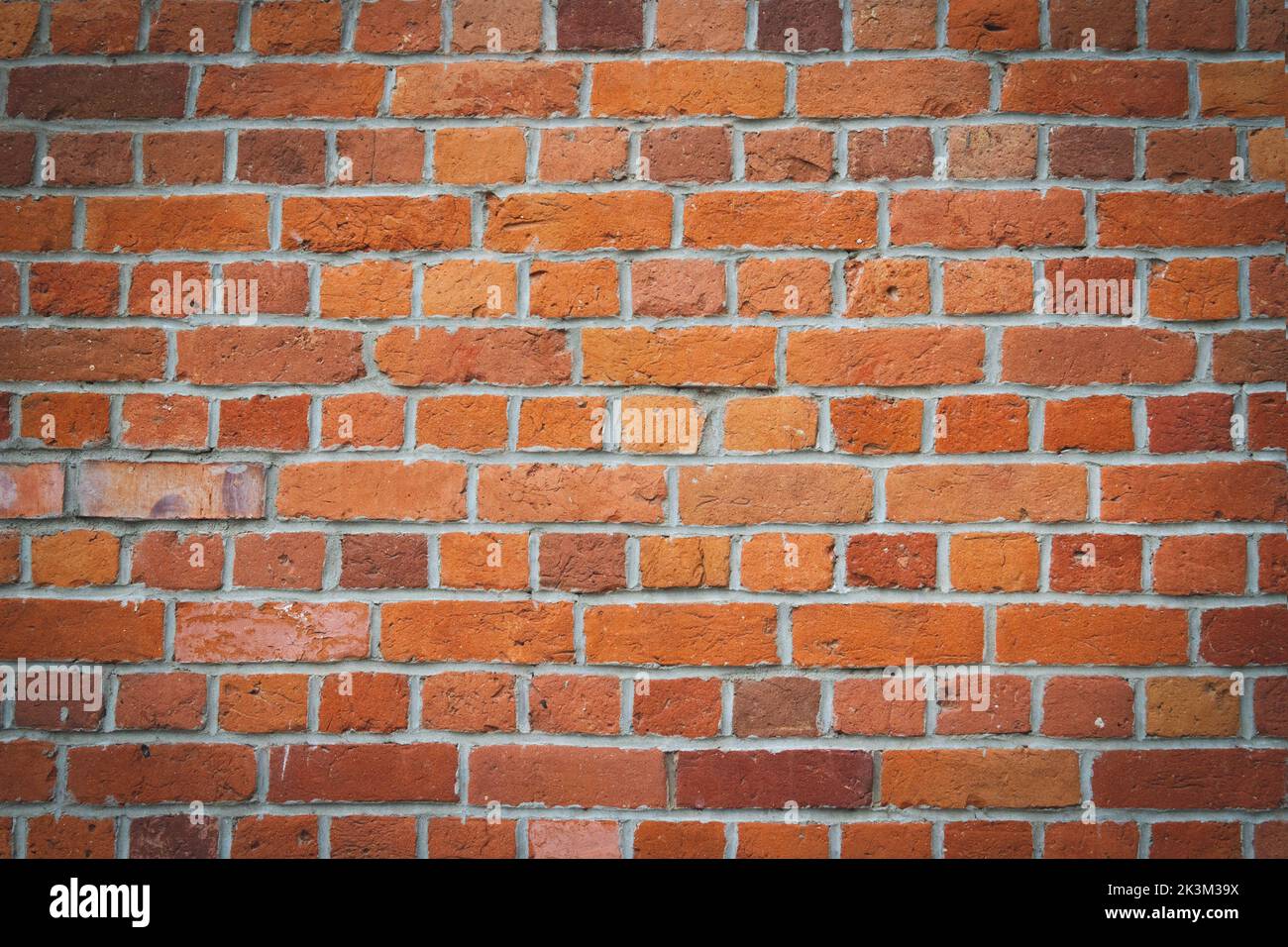 High-quality brick texture. Close-up masonry. Red brick wall. Brick ...