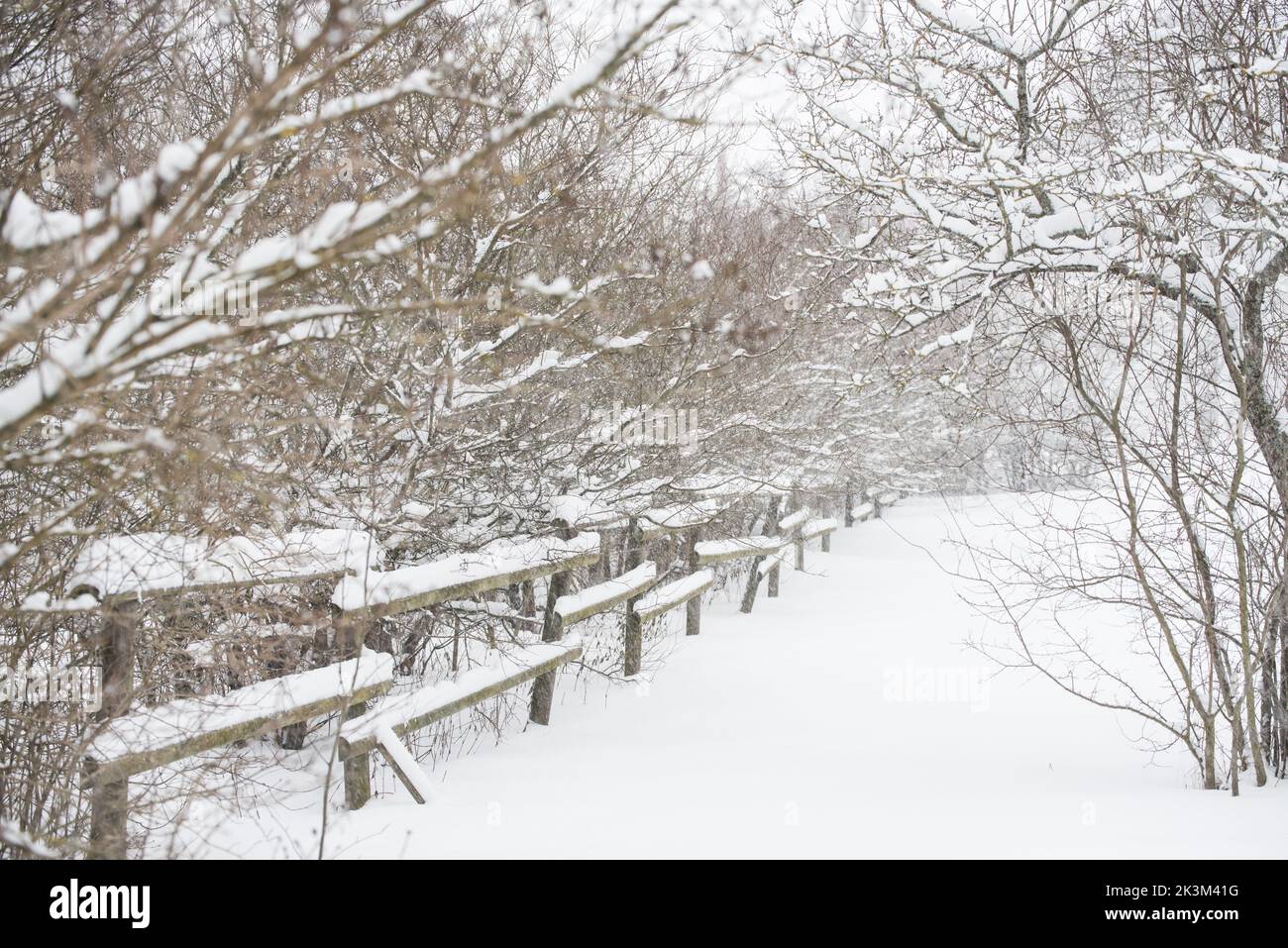 Wooden fence in the snow on winter country background Stock Photo - Alamy