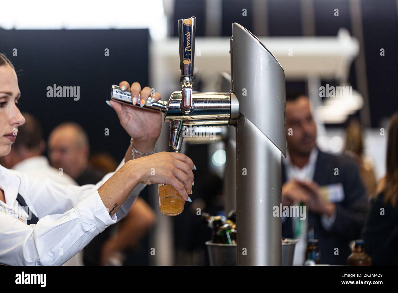 Close-up of barmaid hand at beer tap pouring a draught lager beer Stock ...
