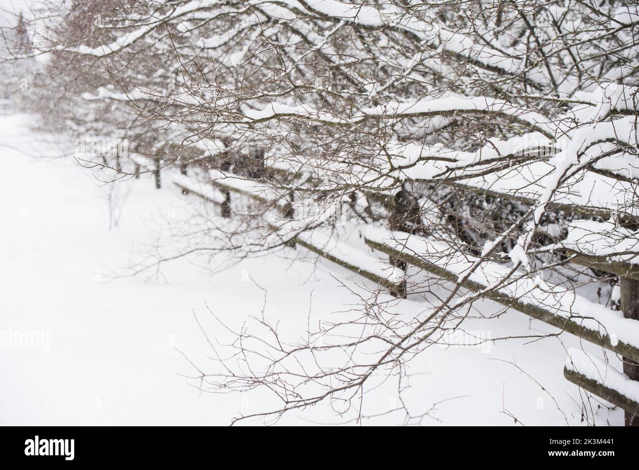 Wooden fence in the snow on winter country background Stock Photo - Alamy