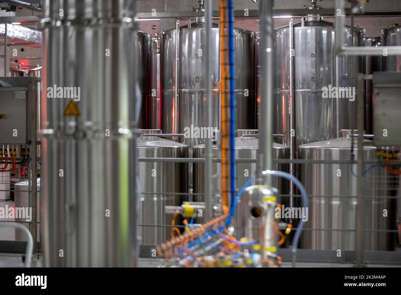 Illustration picture shows the opening of the new wine bottling plant ...