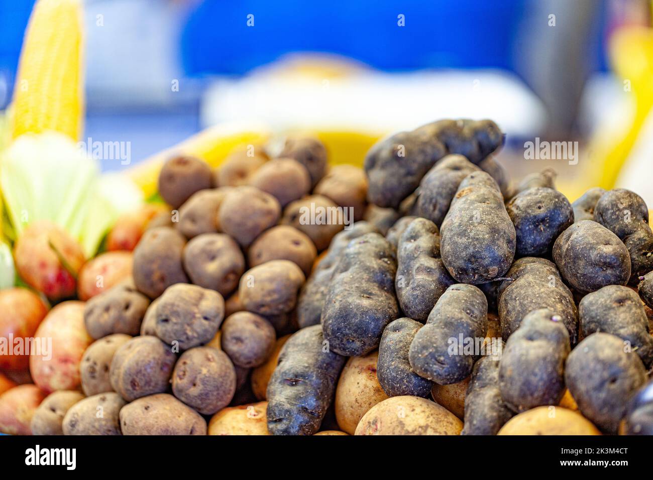 stall of canarian potatoes Stock Photo - Alamy