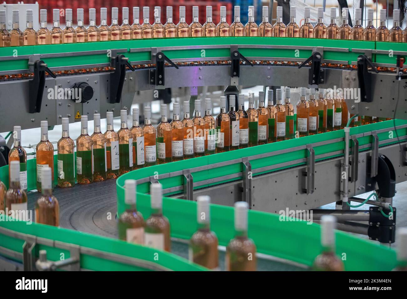 Illustration picture shows the opening of the new wine bottling plant ...