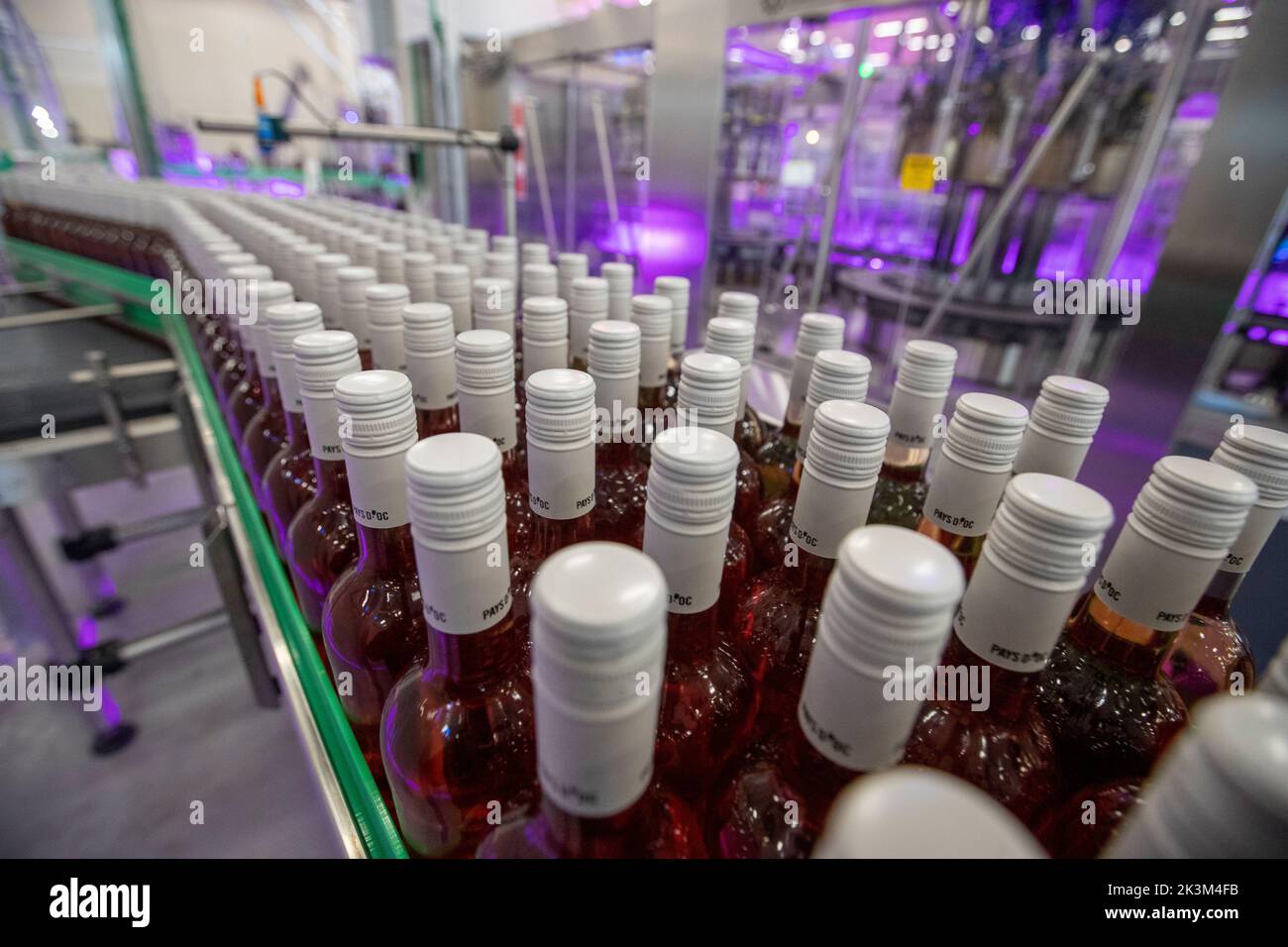 Illustration picture shows the opening of the new wine bottling plant ...