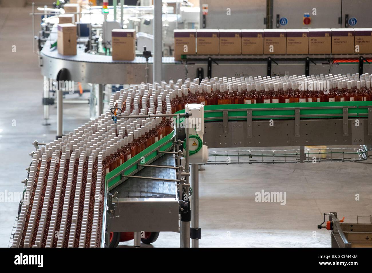 Illustration picture shows the opening of the new wine bottling plant ...