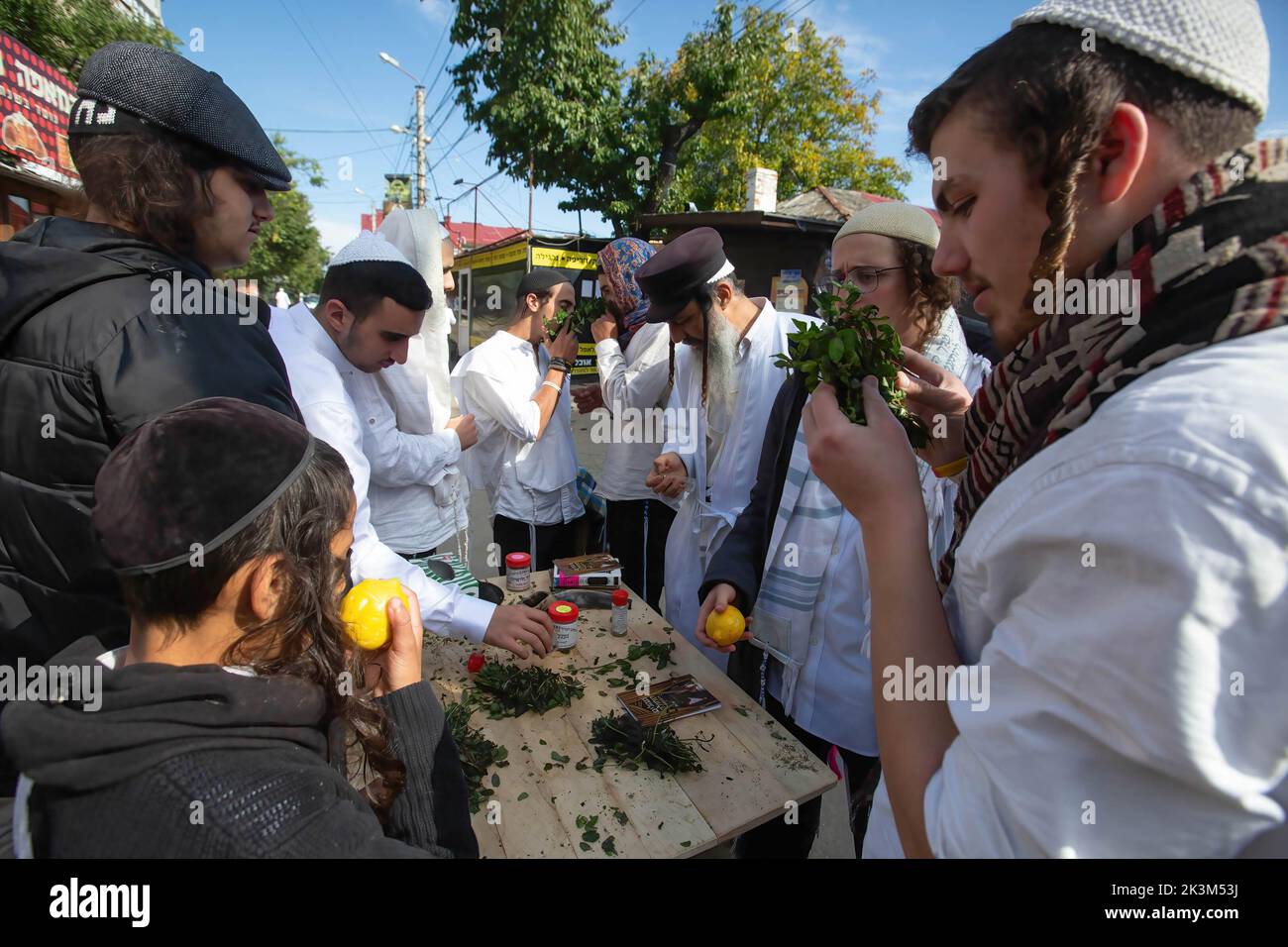 Ultra-Orthodox Jewish pilgrims perform rituals during the celebration ...