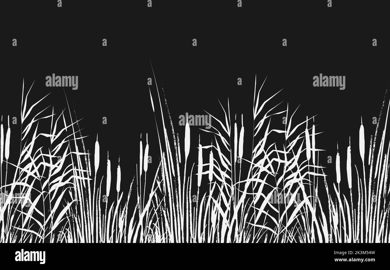 Isolated vector drawing.Image of a white reed or bulrush on a black ...