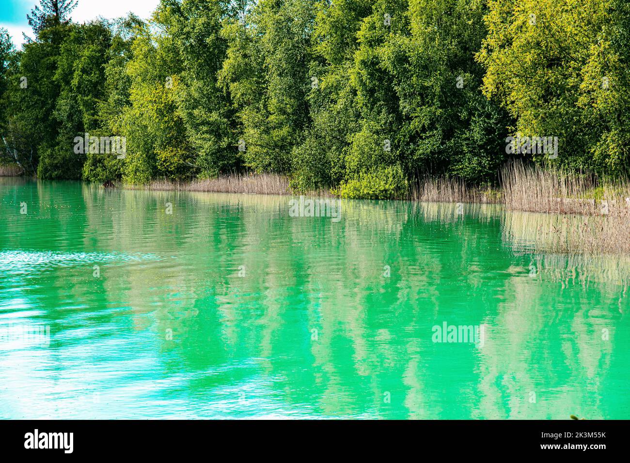 The beautiful scene of river with green trees reflection on it Stock ...