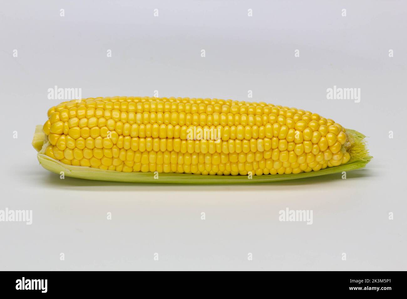 Single ear of corn isolated on white background. Isolated. Package ...