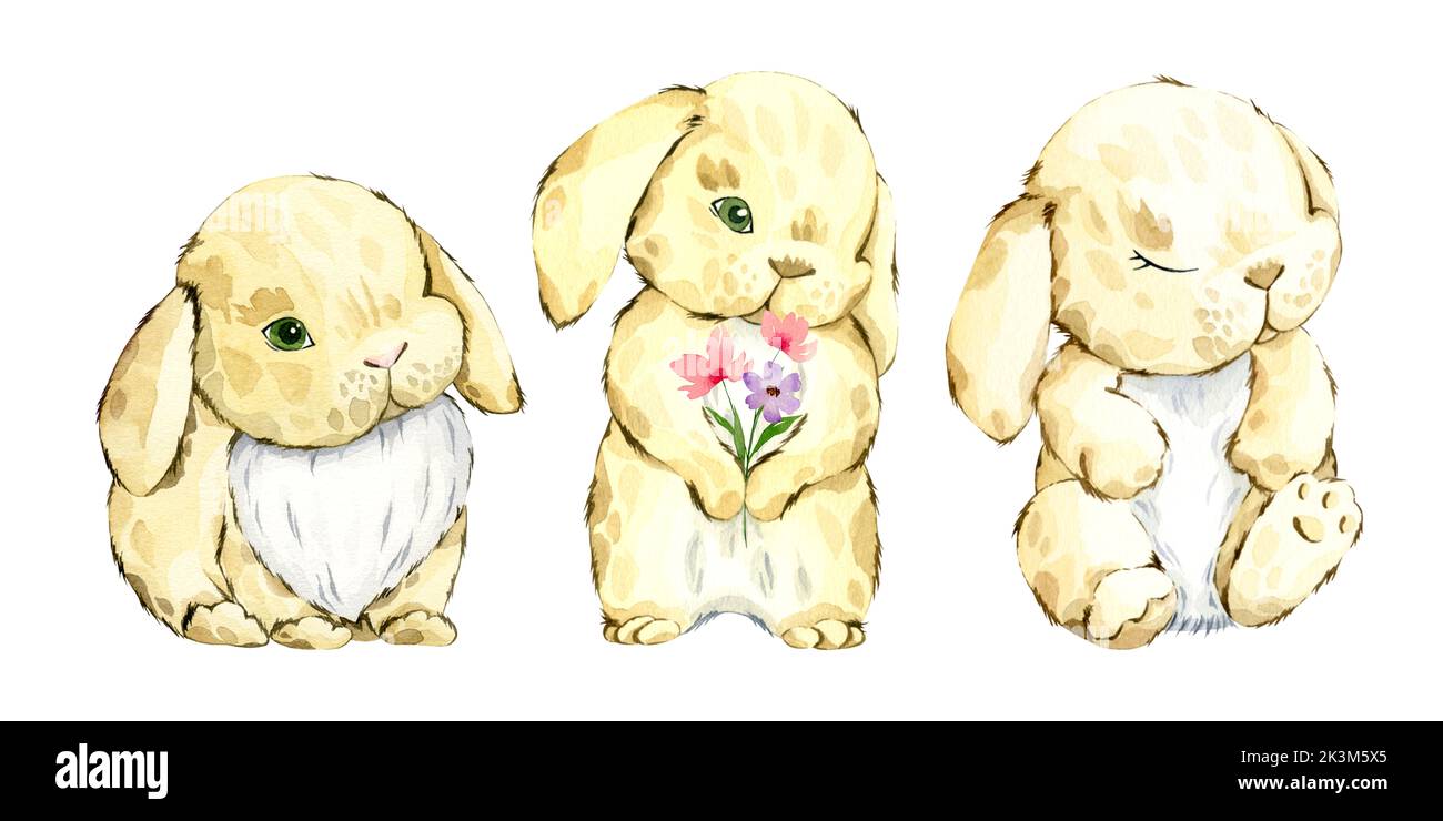 Watercolor cute bunnies set. Hand drawn Easter bunny illustration Stock ...