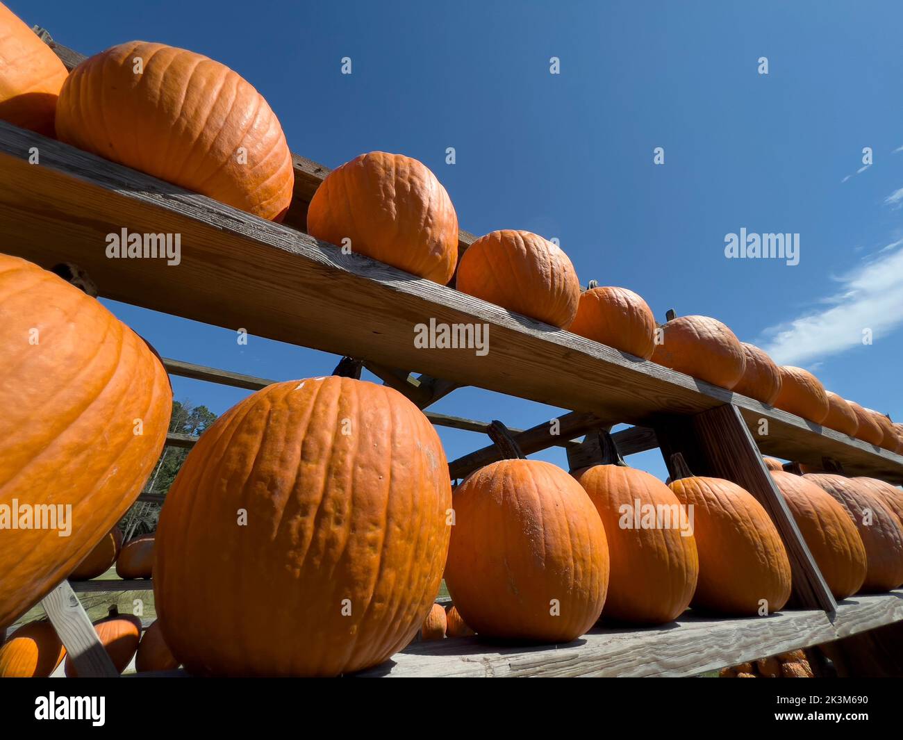 Bunn nc hi-res stock photography and images - Alamy