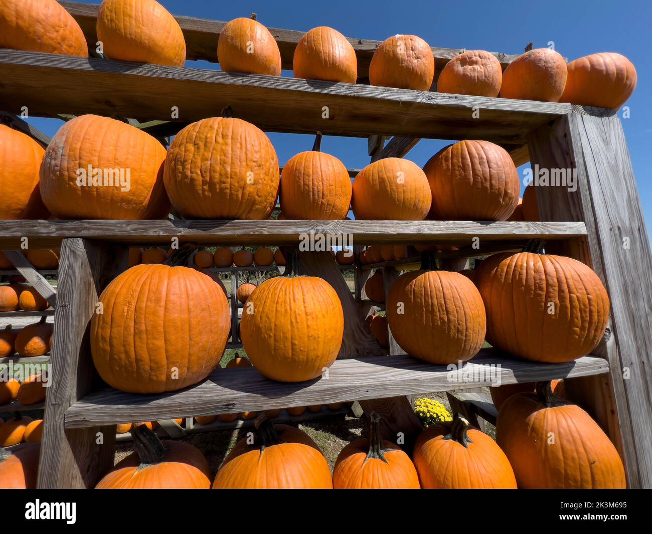 Bunn nc hi-res stock photography and images - Alamy