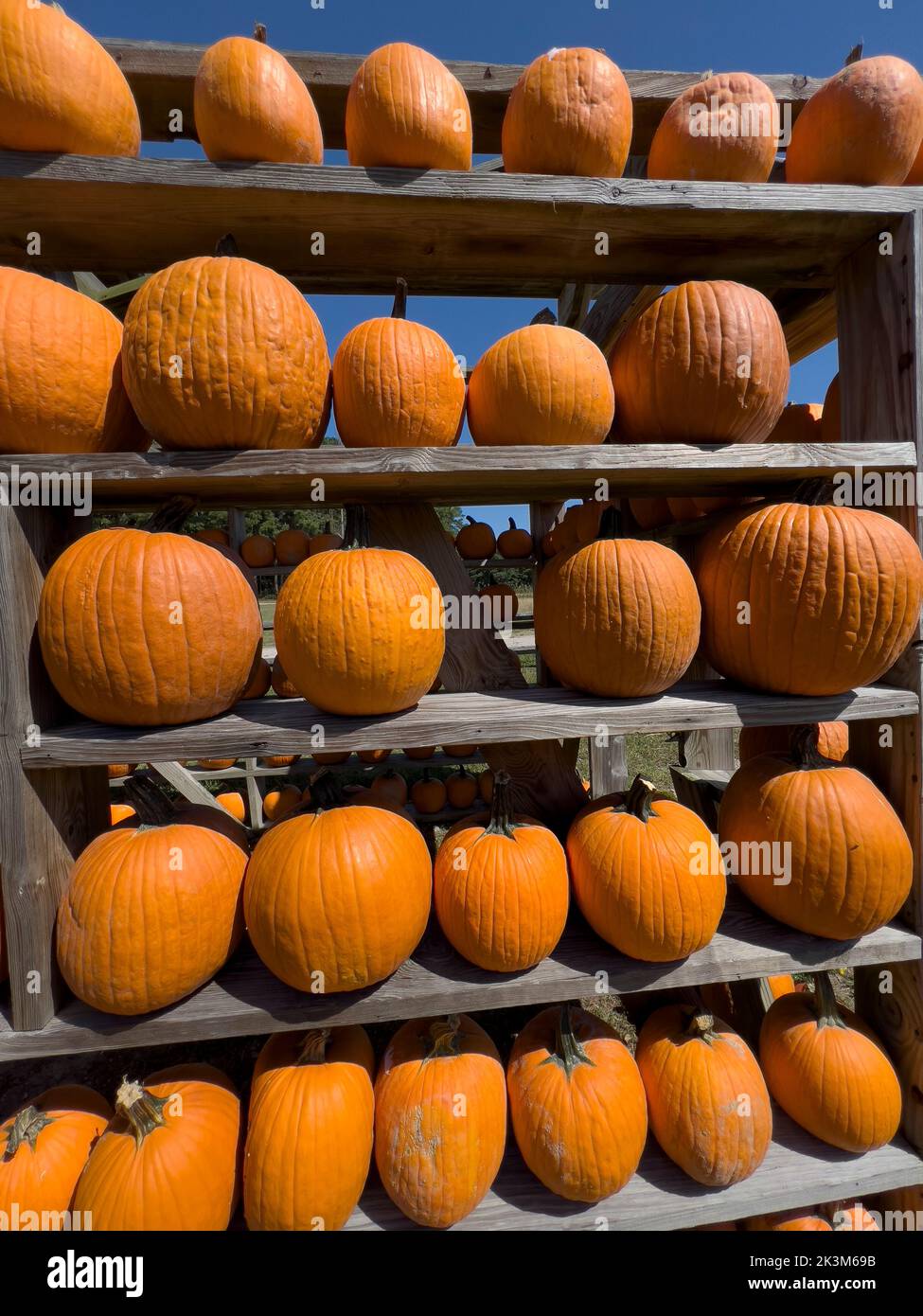 Bunn nc hi-res stock photography and images - Alamy