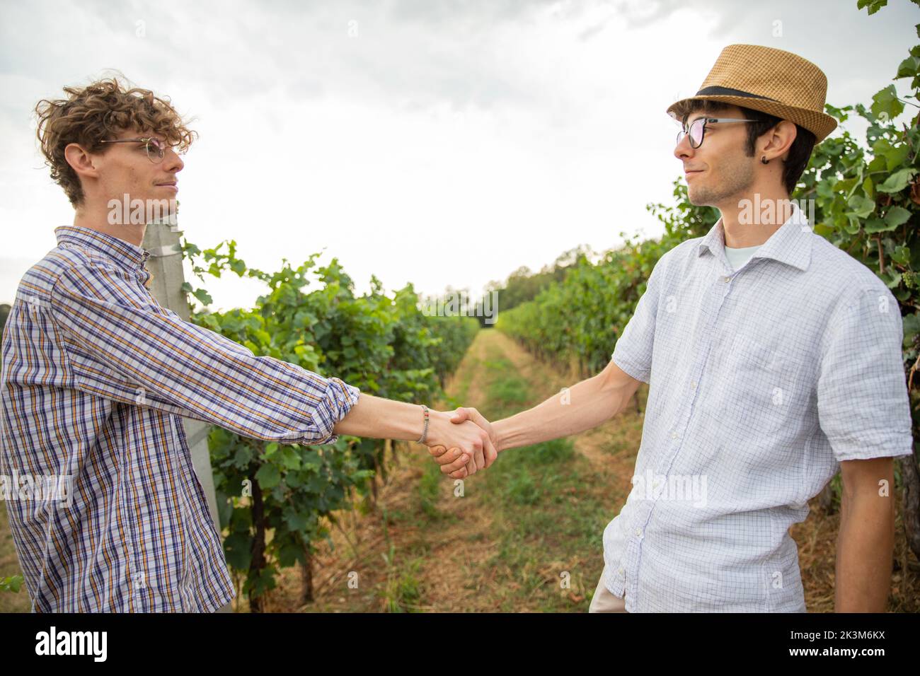 Winemaker shakes hands with insurer visiting his vineyard. Wine concept ...