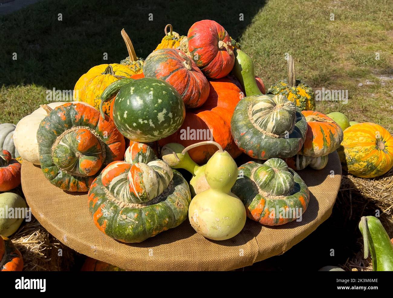 Ornamental goards hi-res stock photography and images - Alamy