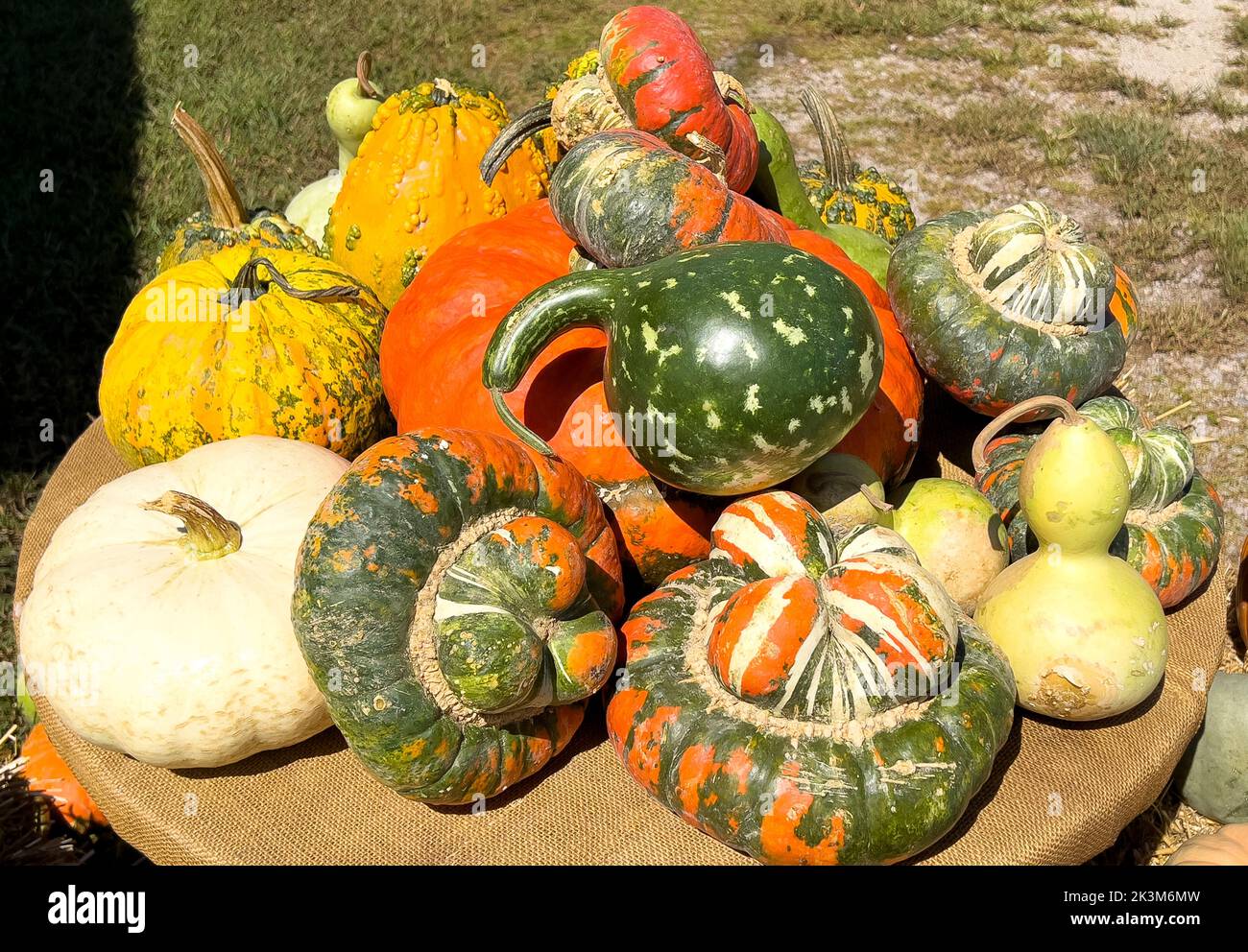 Heirloom goard hi-res stock photography and images - Alamy