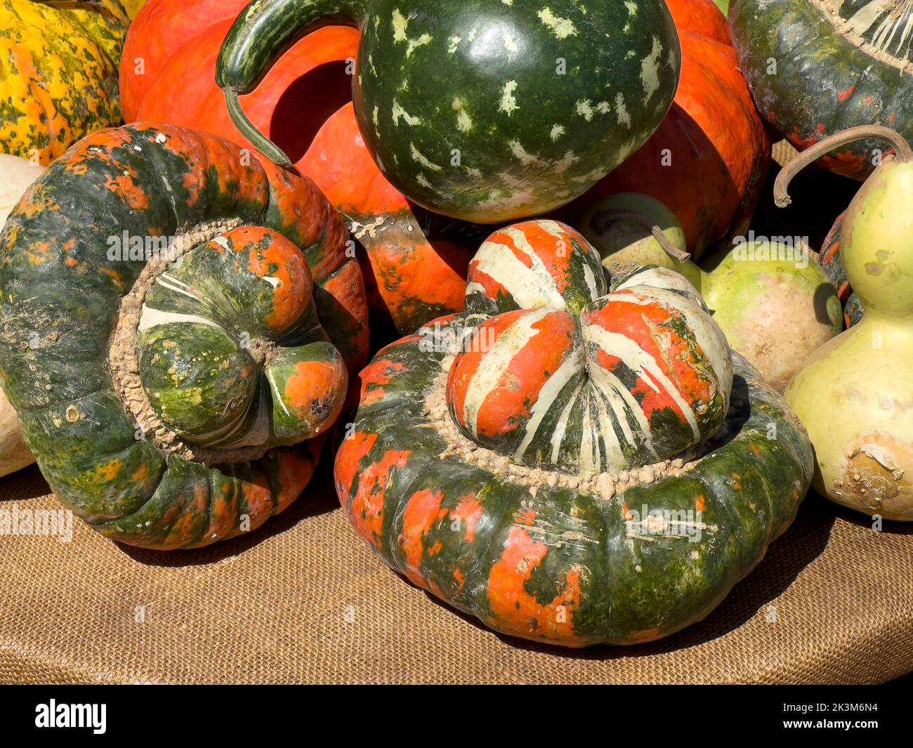 Ornamental goards hi-res stock photography and images - Alamy