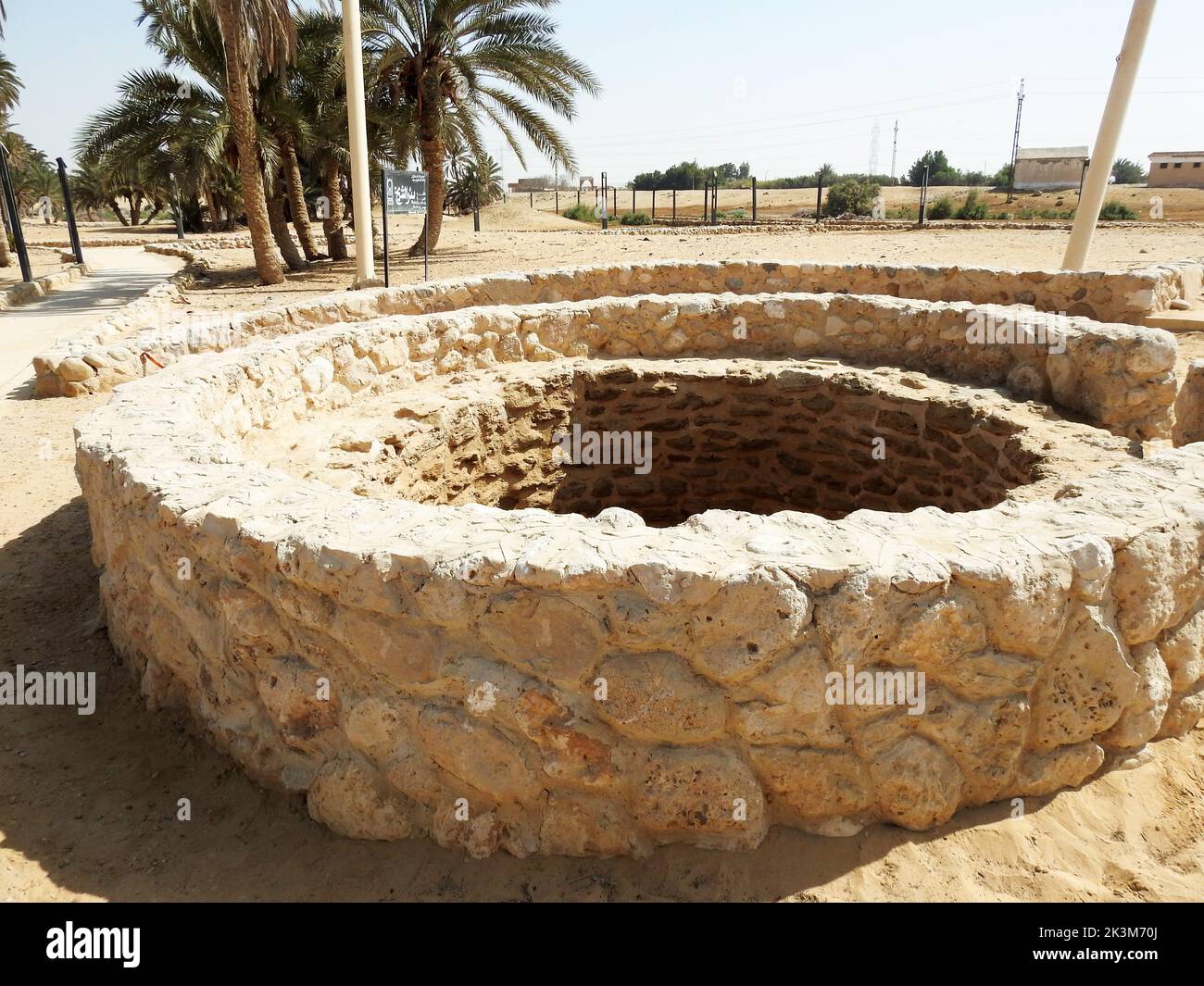 Sidr tree hi-res stock photography and images - Alamy