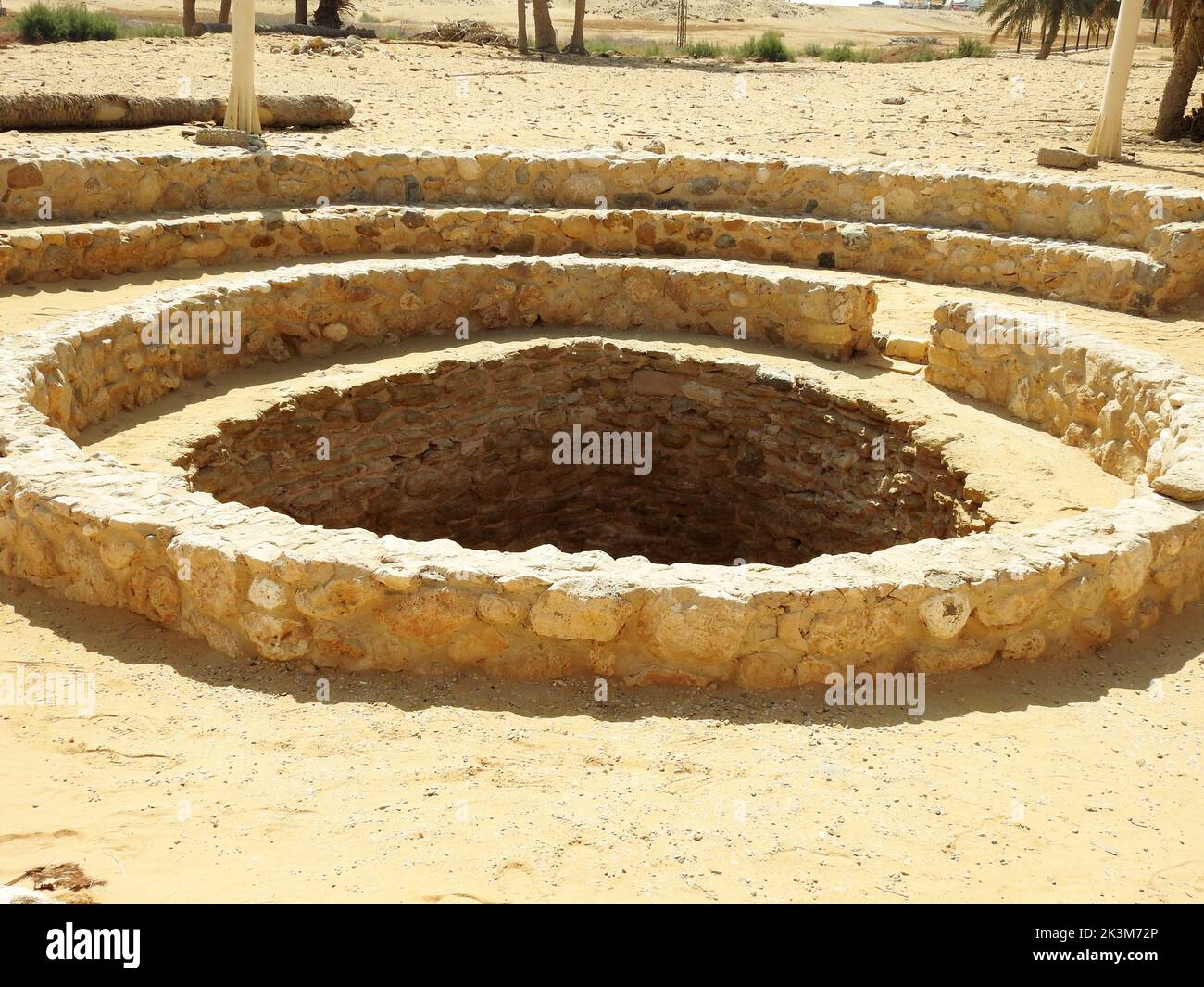 Moses tree hi-res stock photography and images - Alamy