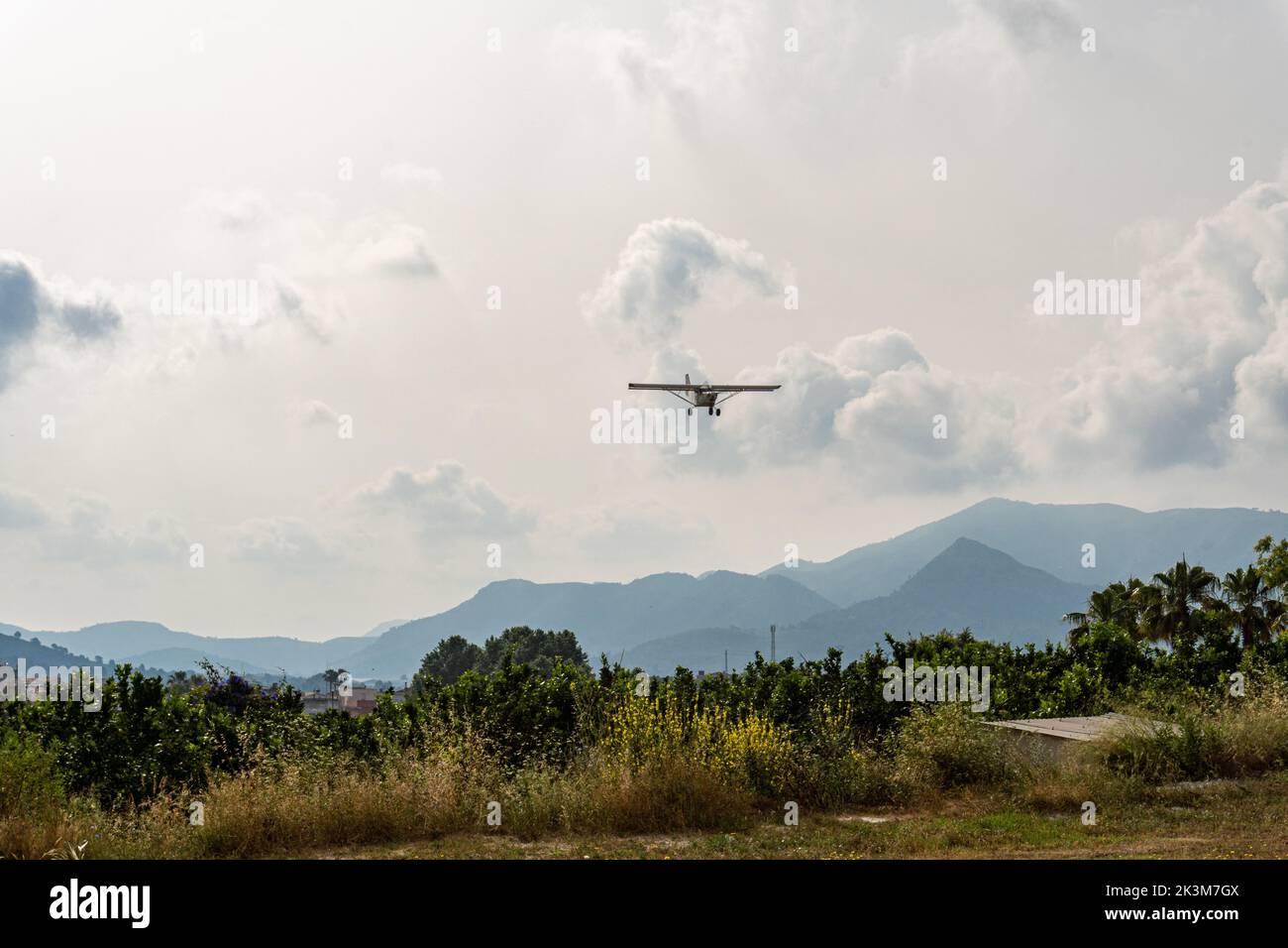 An airplane flying over growing trees Stock Photo - Alamy
