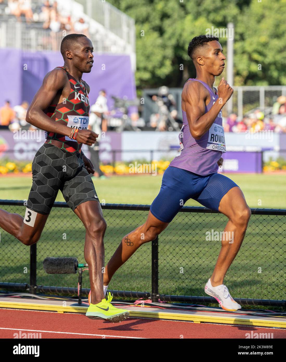 Wyclife Kinyamal Kisasy and Daniel Rowden competing in the 800m heats ...