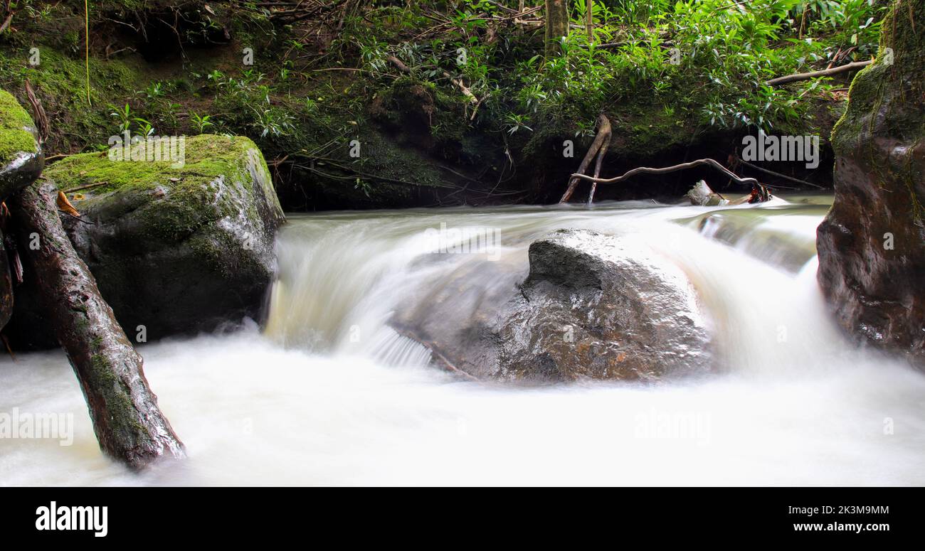 The beautiful scene of the forest stream flowing through the rocks ...