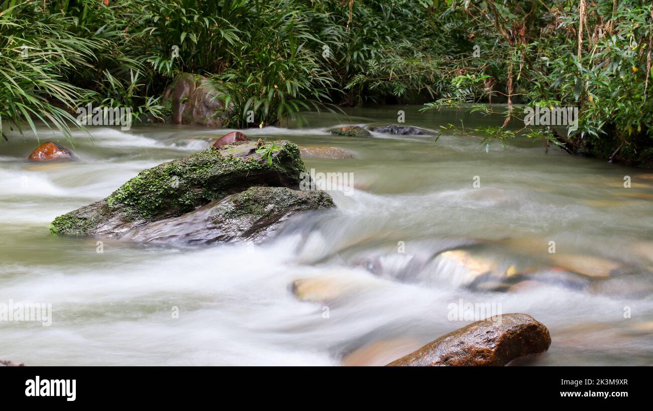 The beautiful scene of the forest stream flowing through the rocks ...