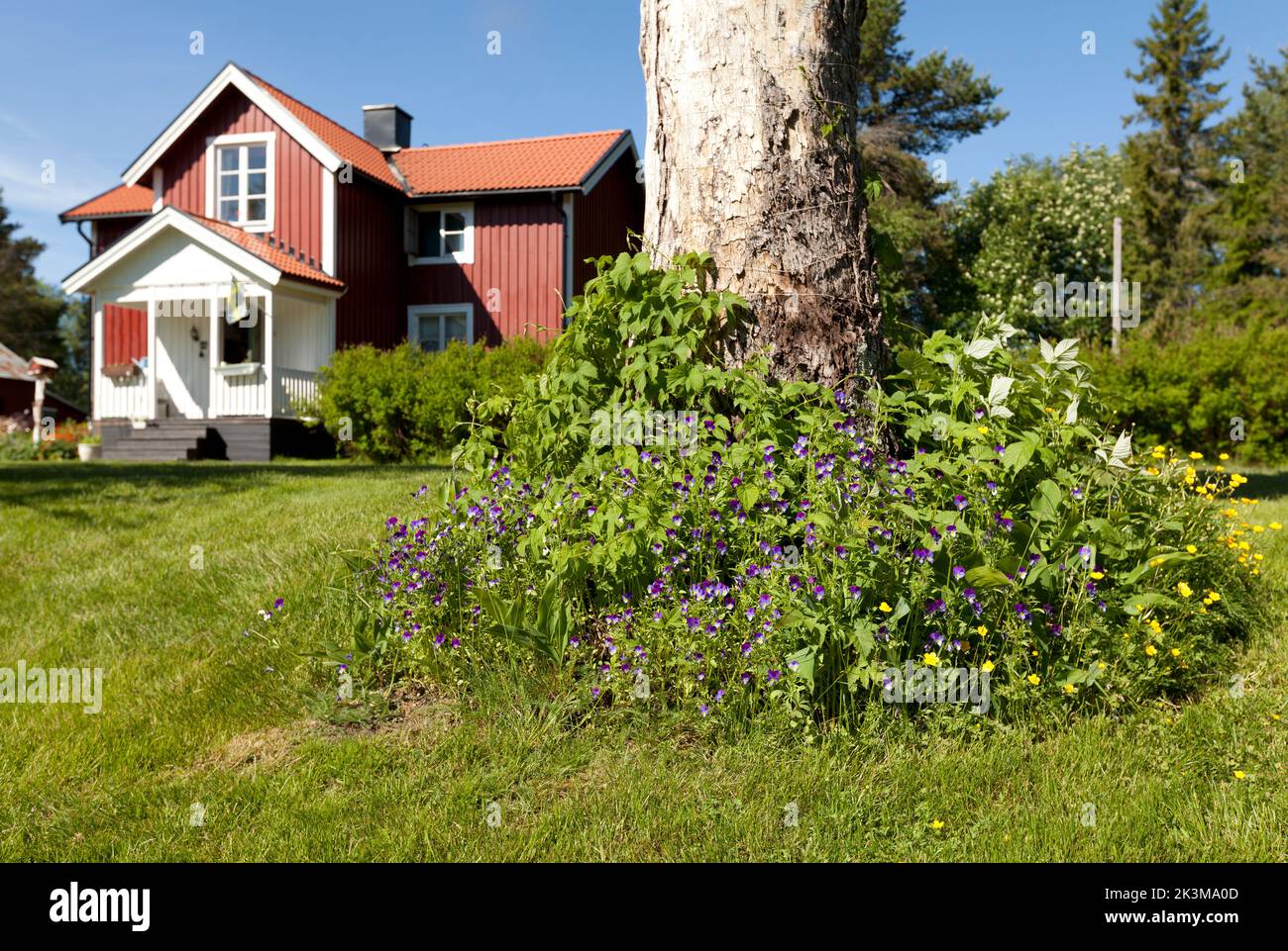 RURAL COUNTY, SWEDEN ON JUNE 23, 2012. View of a garden, entry, and ...
