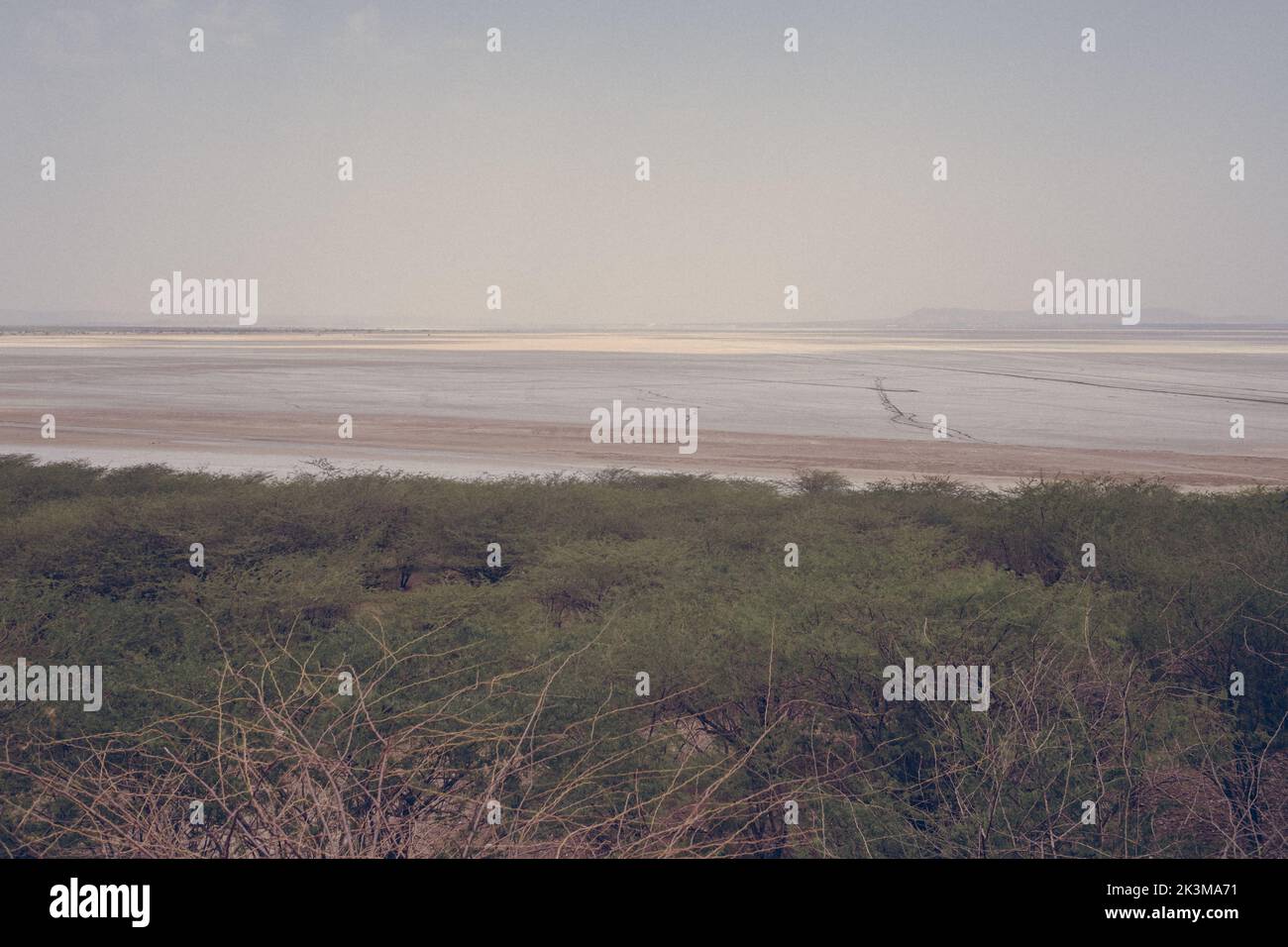 Sambhar Lake is India's largest inland salt lake and is spread over 90 ...