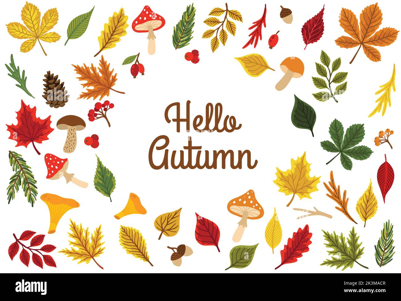 Set Of Colorful Autumn Leaves Vector Illustration Stock Vector Image