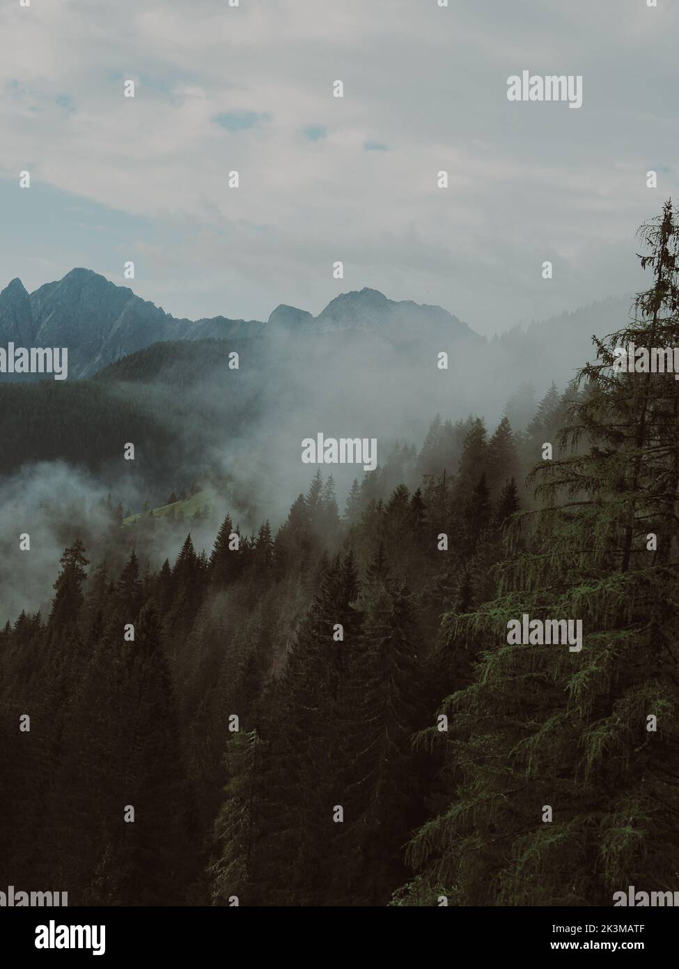 A vertical shot of a beautiful mountainous forest nature scenery Stock ...