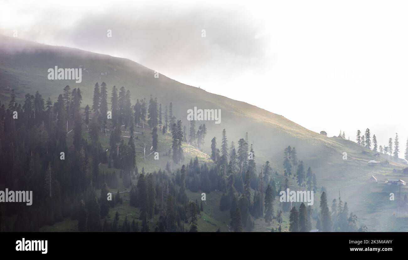 Pine mountain valley georgia hi-res stock photography and images - Alamy