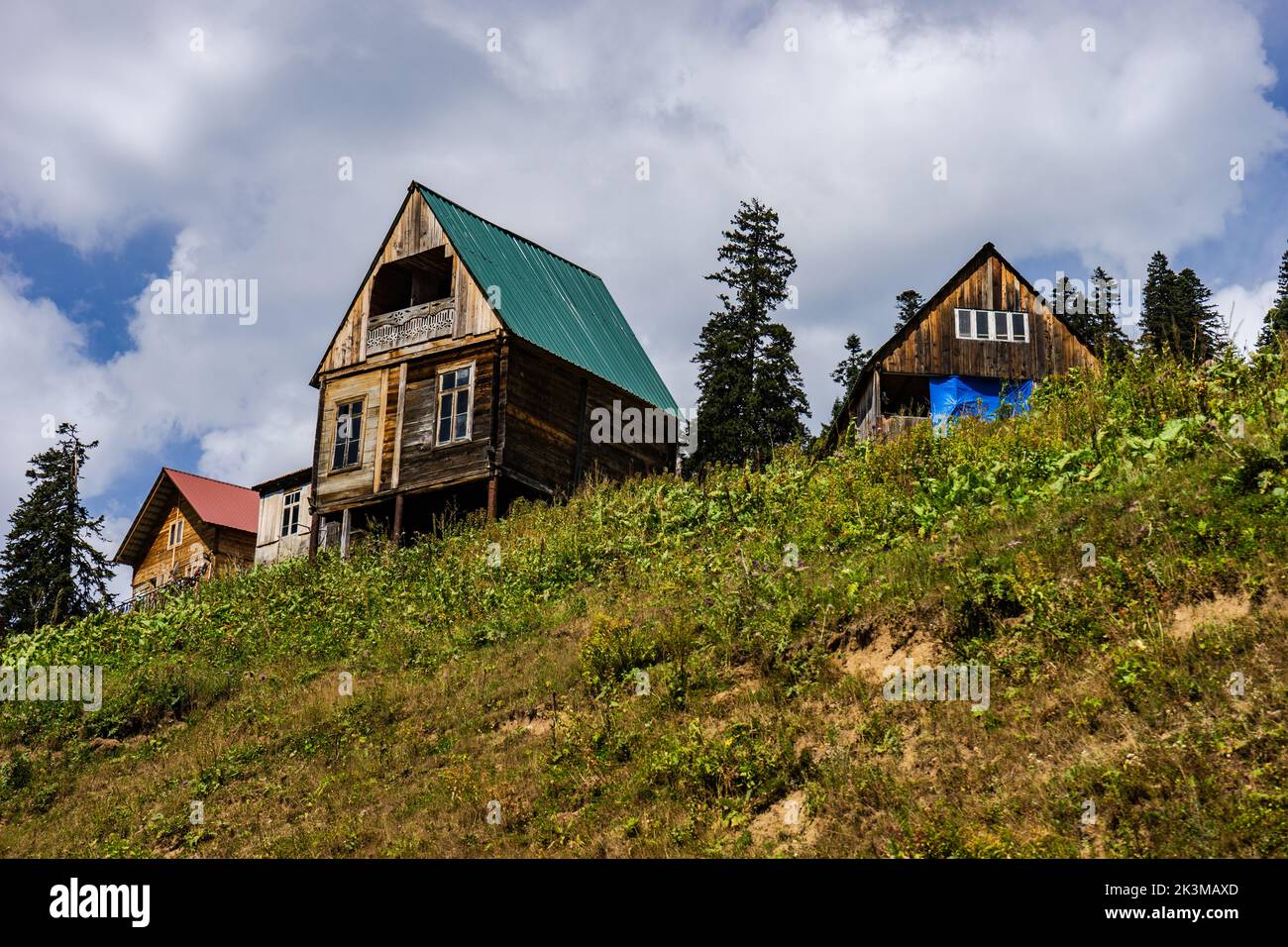 Coniferous Nana's Animation Blog | Where dreams come true | Page 2