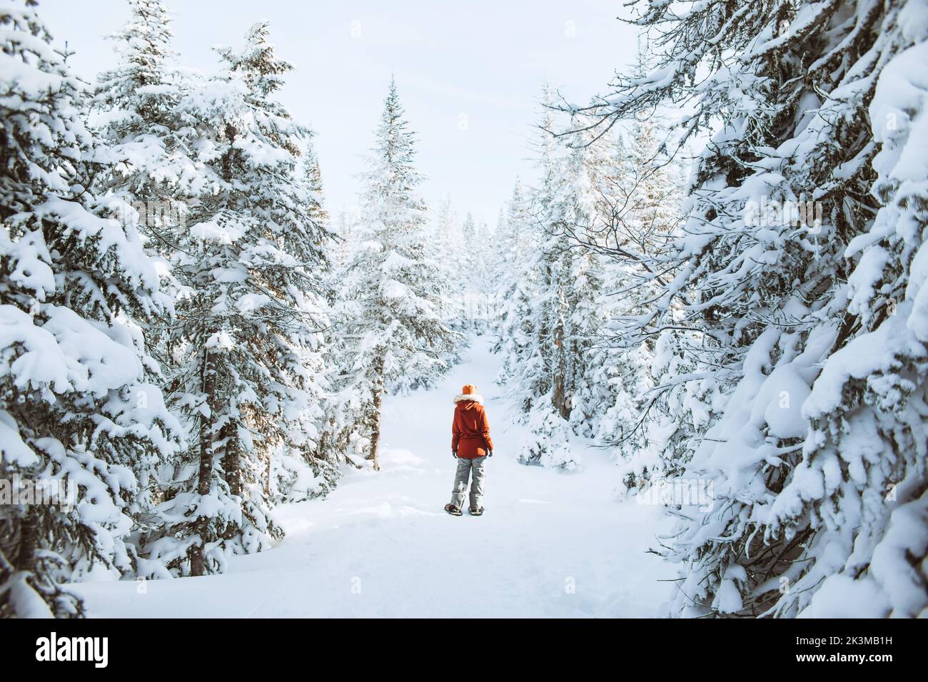 Full body back view of unrecognizable woman in outerwear with snowshoes ...