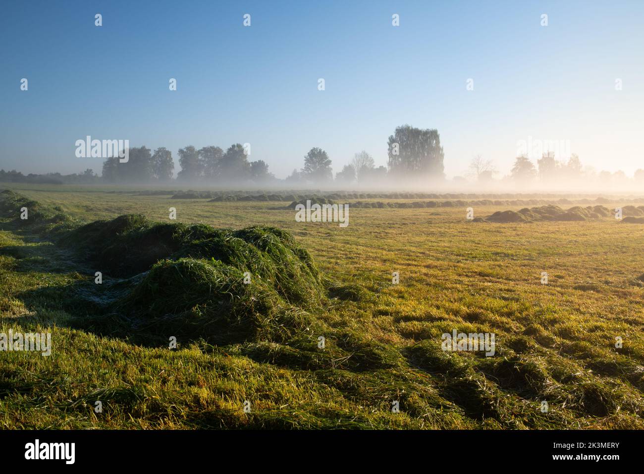 The sun rises in autumn over a freshly mowed field with the grass still ...