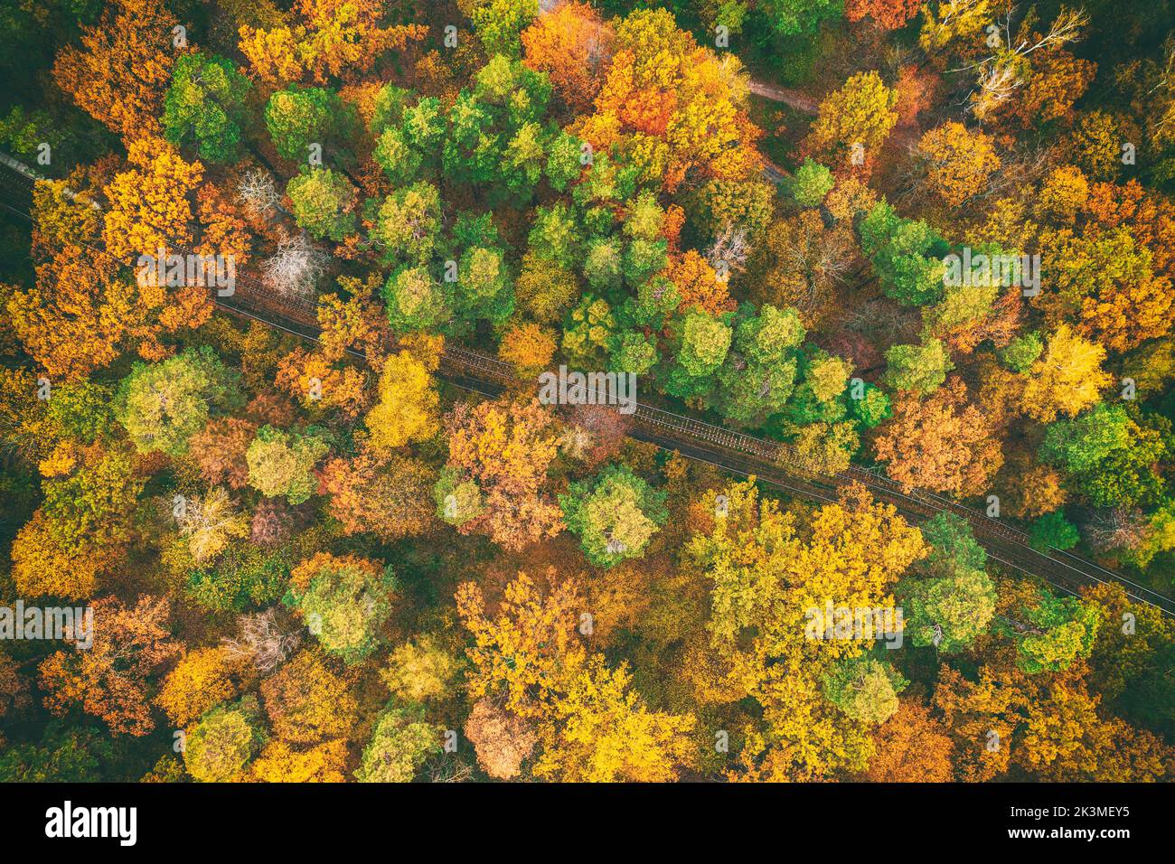 Autumn forest from above Stock Photo - Alamy
