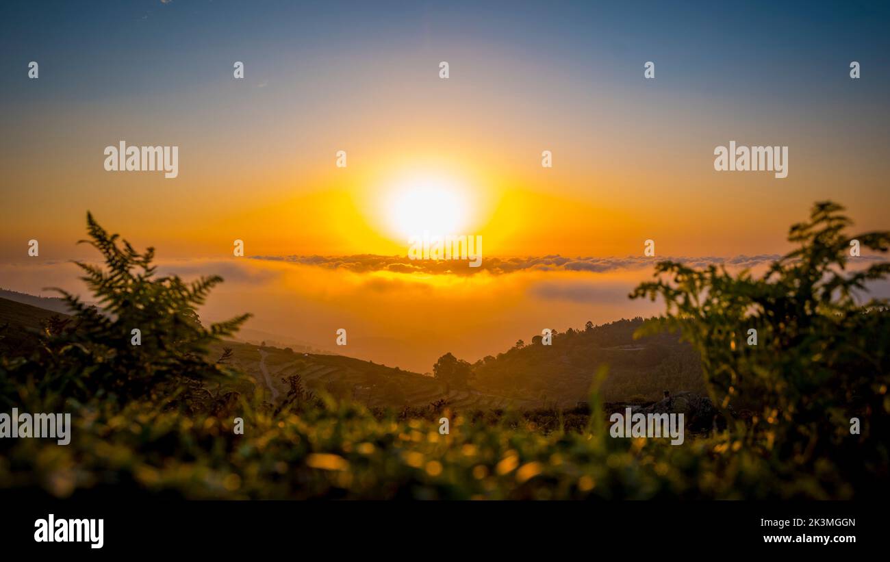 Sunset landscape of Serra de Monchique in Algarve, Portugal. Sun ...